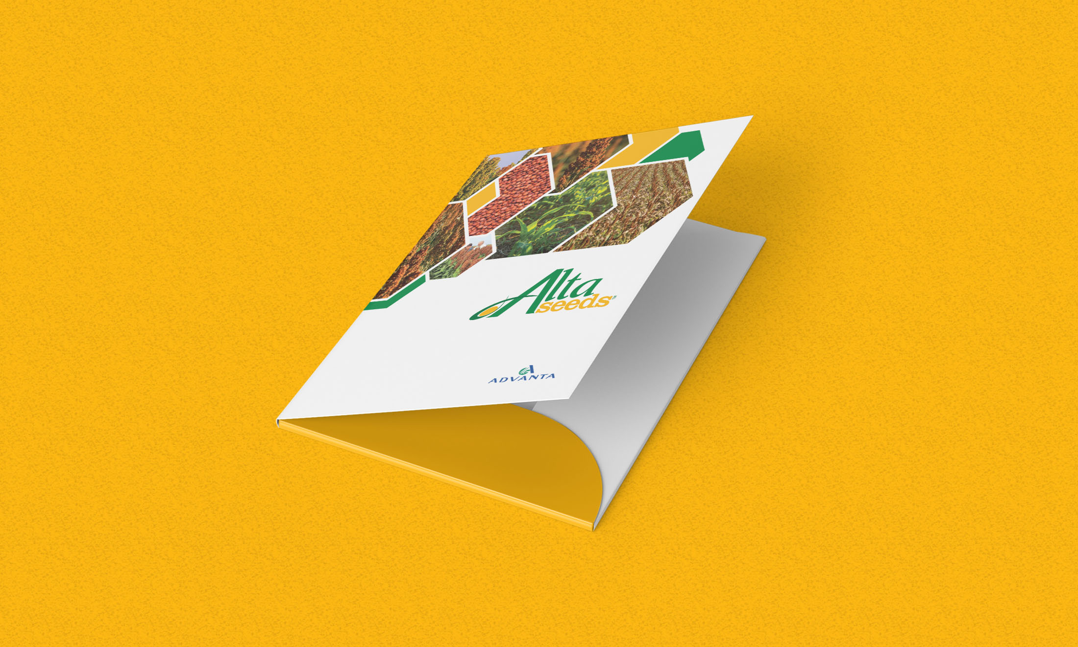 Alta Seeds - High Level Creative