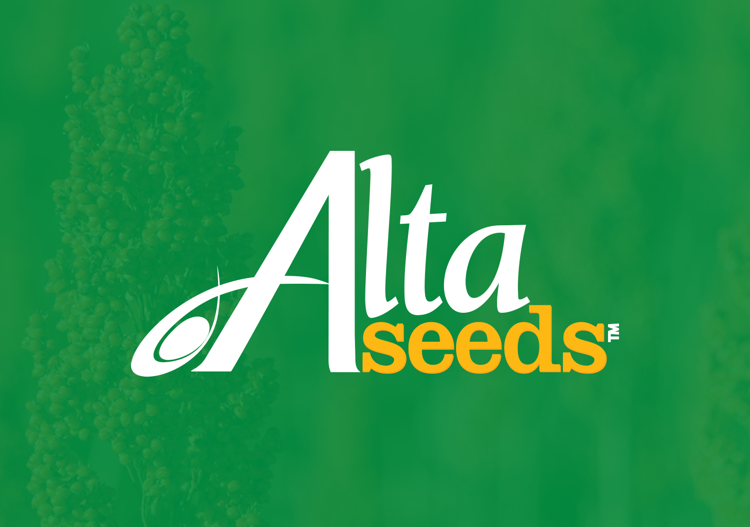 Alta Seeds - High Level Creative